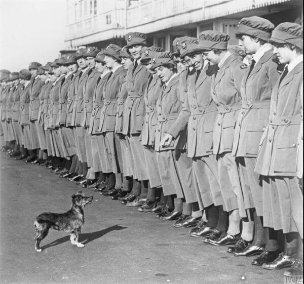 Women's Royal Air Force (WRAF) | Soldiers | Great War | CEFRG